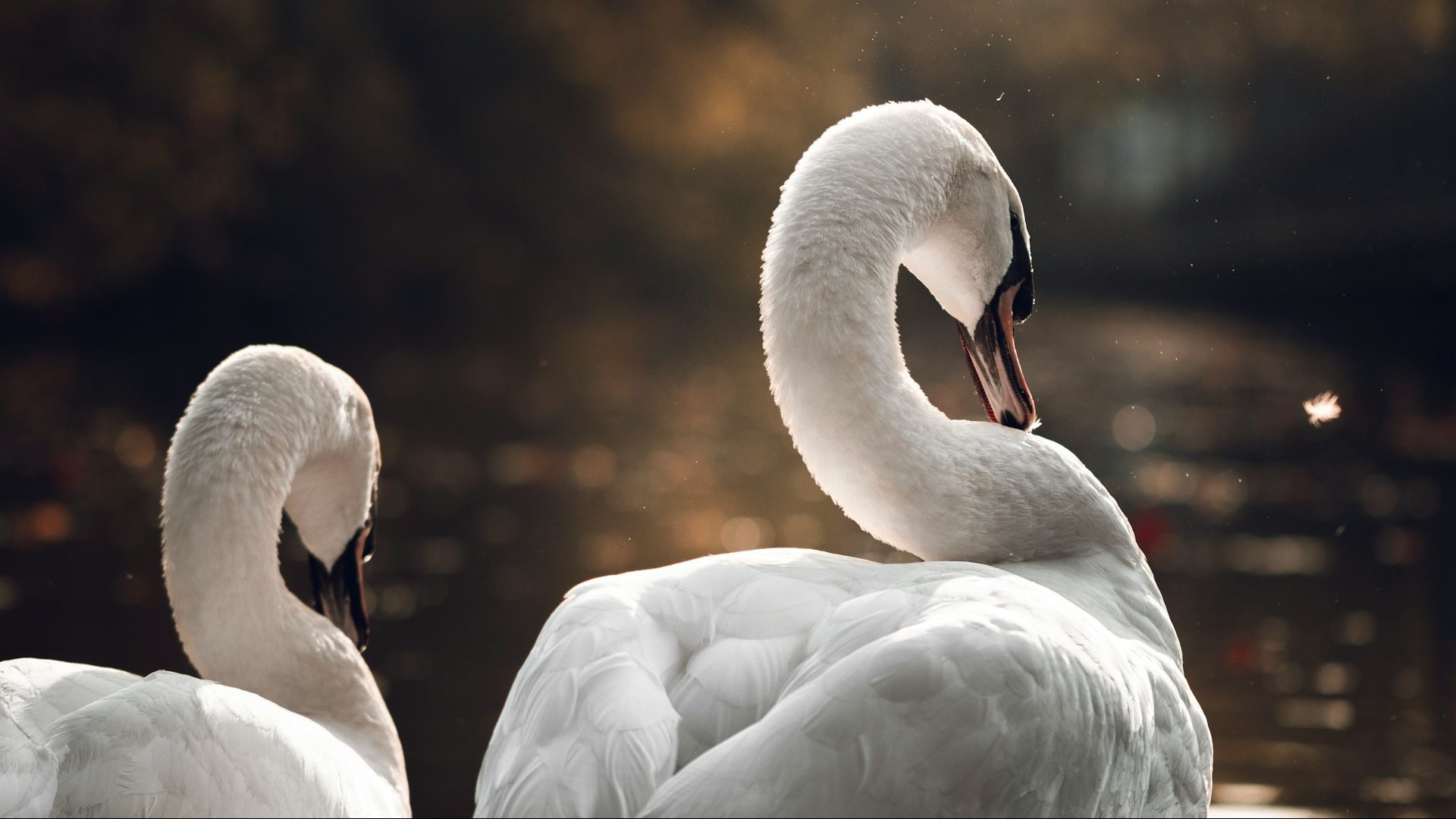 «Мудрые мысли о семейном счастье» - Радио ВЕРА